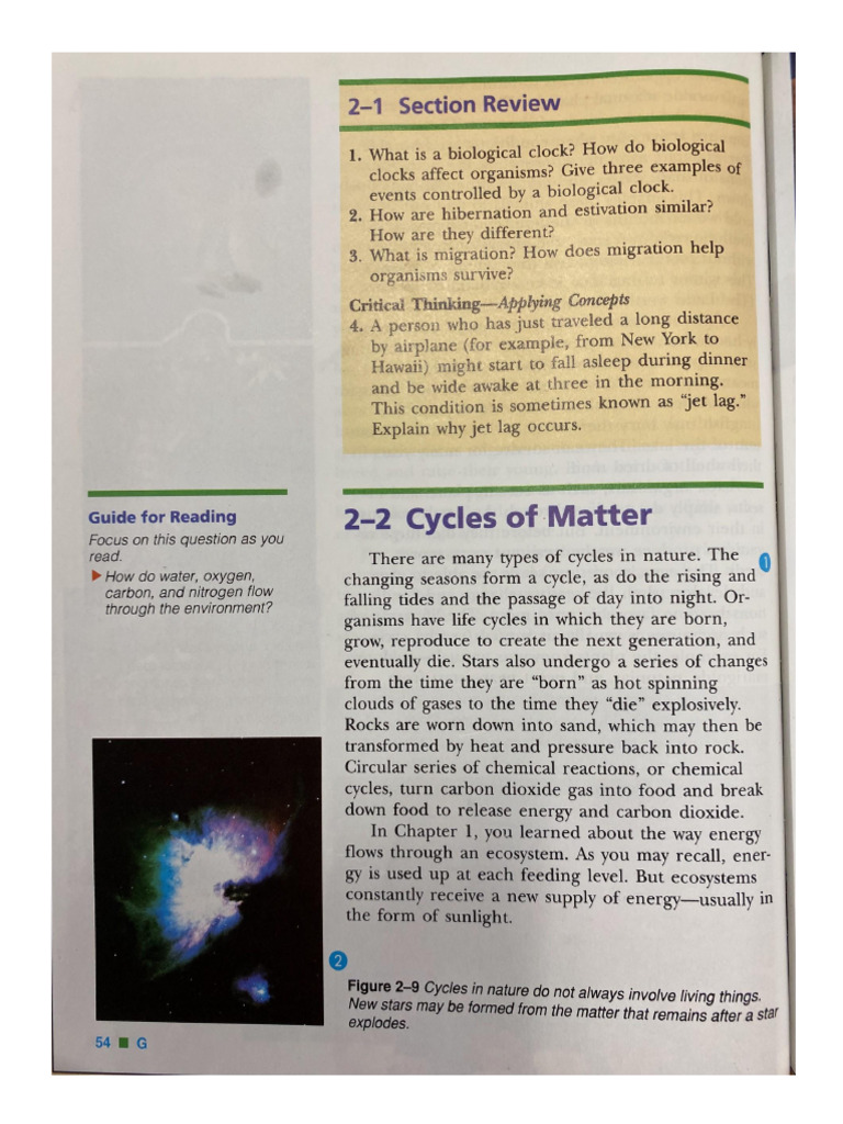 Ecology 2-2 and 2-3 Book Pages | PDF