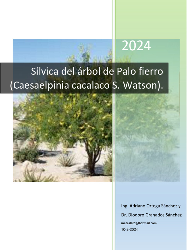 050 Silvica Palo Fierro | PDF | Semilla | Arboles