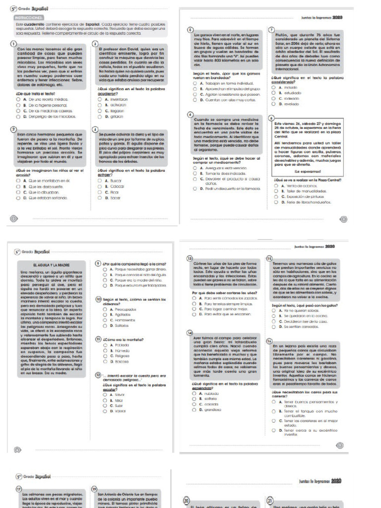 Prueba de Español 5 Grado | PDF