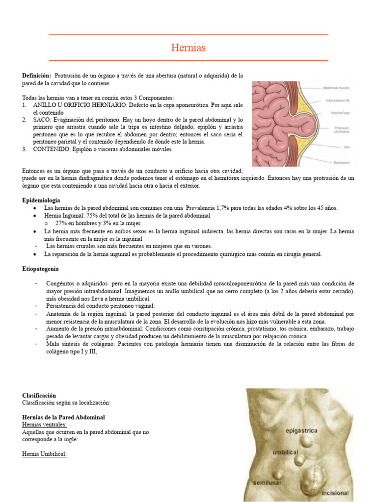 Hernias | PDF | Abdomen | Anatomía