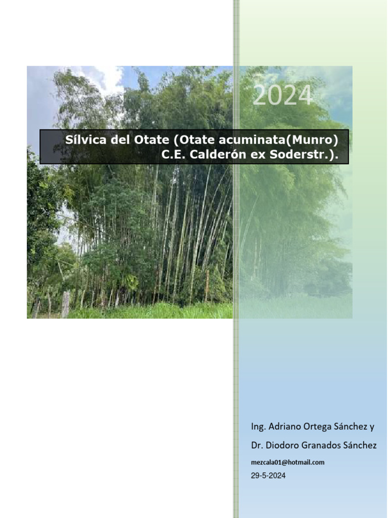 051 Sílvica de Otate | PDF | México | Semilla