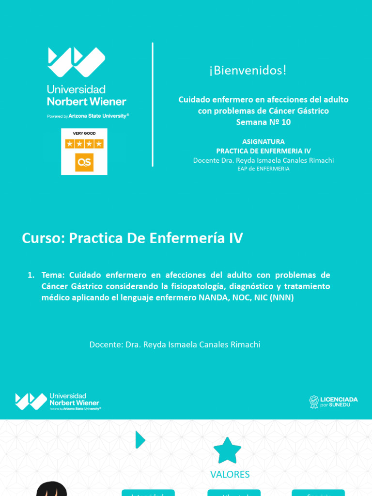Clase 10 Cuidado de Enfermeria en Pcte Con Cancer Gastrico | PDF ...