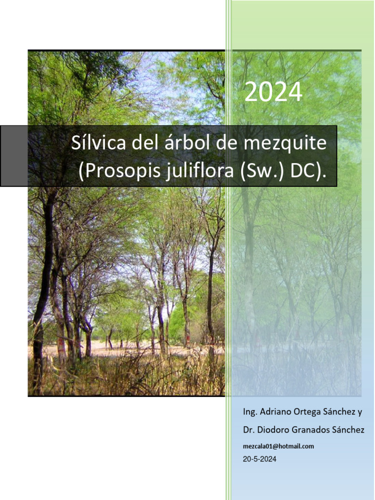 041 Silvica Del Ábol de Mezquite 79 | PDF | Flores | Hoja