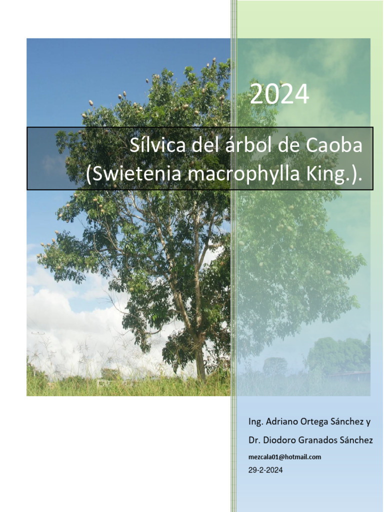 045 Silvica Caoba Del Golfo | PDF | Plantas