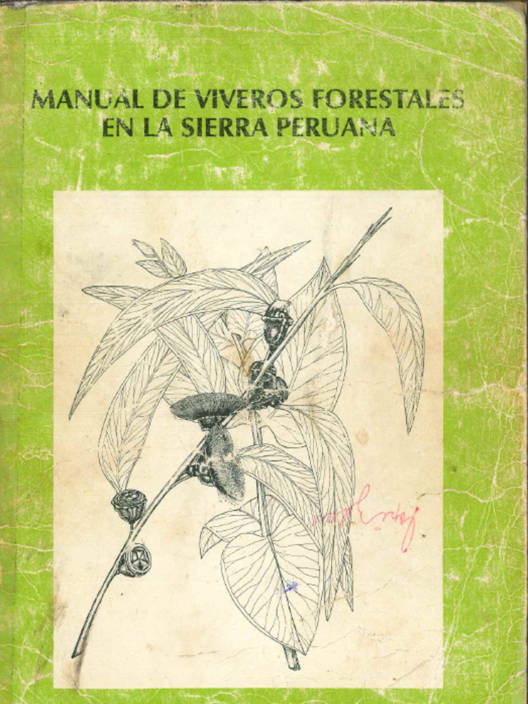 Libro Veshi para Imprimir | PDF