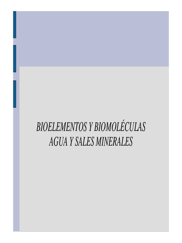 Bioelementos. Agua y Sales Minerales Diapo | PDF | Ósmosis | Biomoléculas