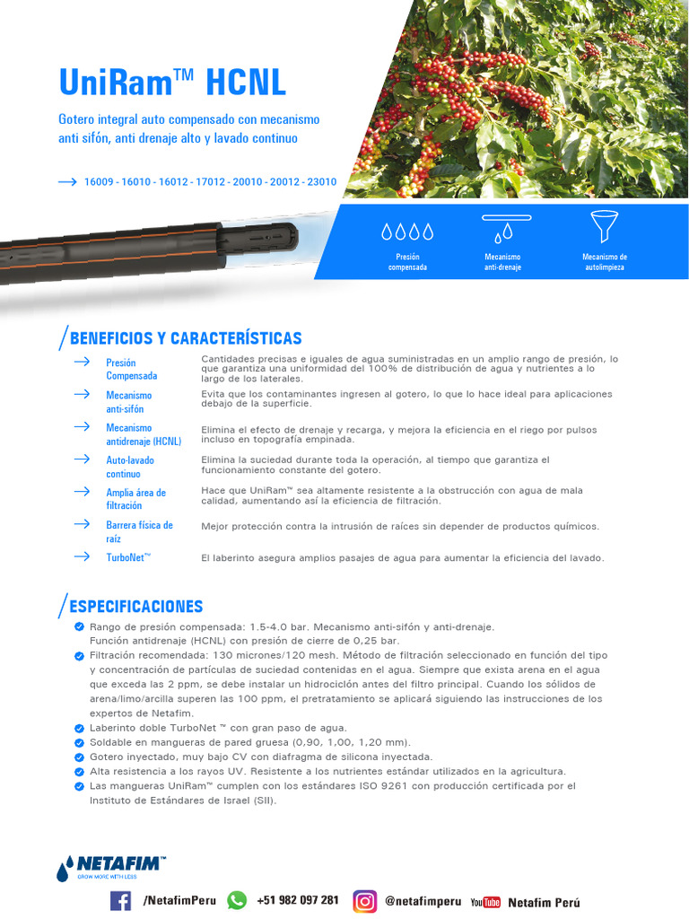 Uniram HCNL Espanol | PDF