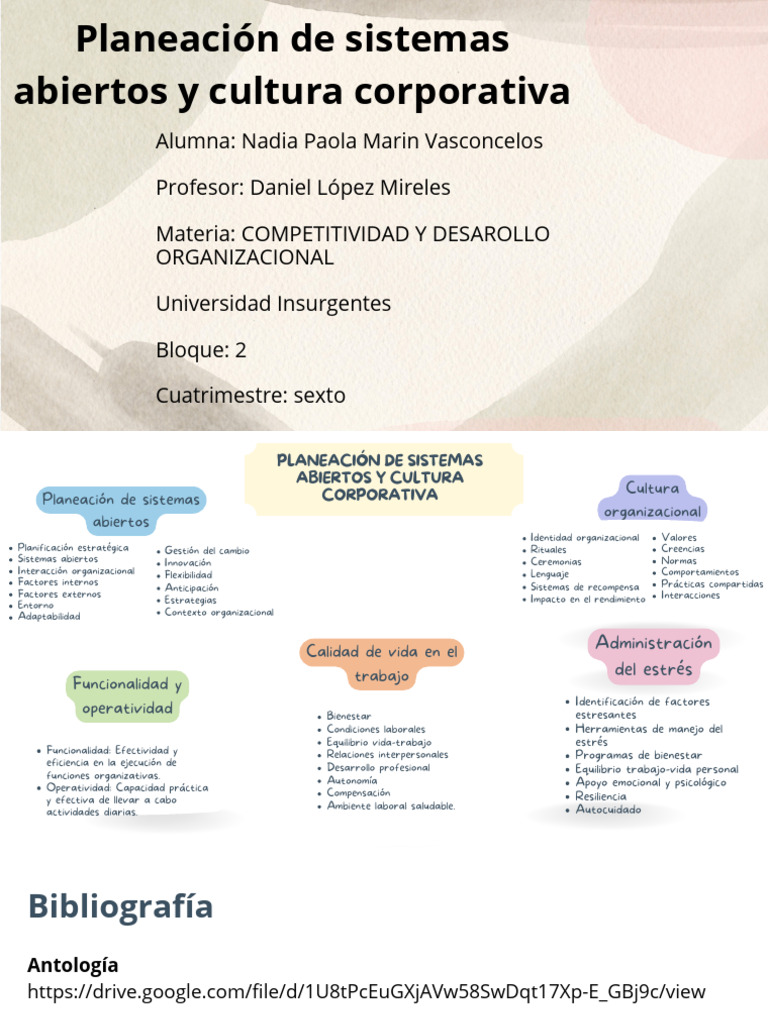 Nadiamarin Mapamental | PDF | Planificación | Estrés (biología)