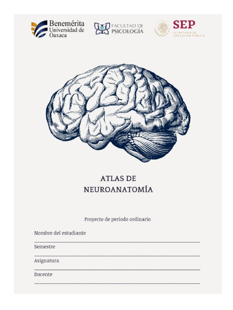Atlas de Neuroanatomía Ordinario | PDF