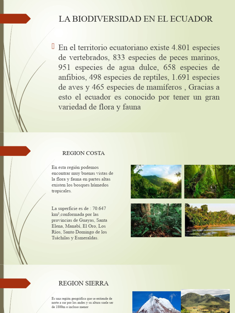 La Biodiversidad en El Ecuador (Isaac Suscal 9no) | PDF