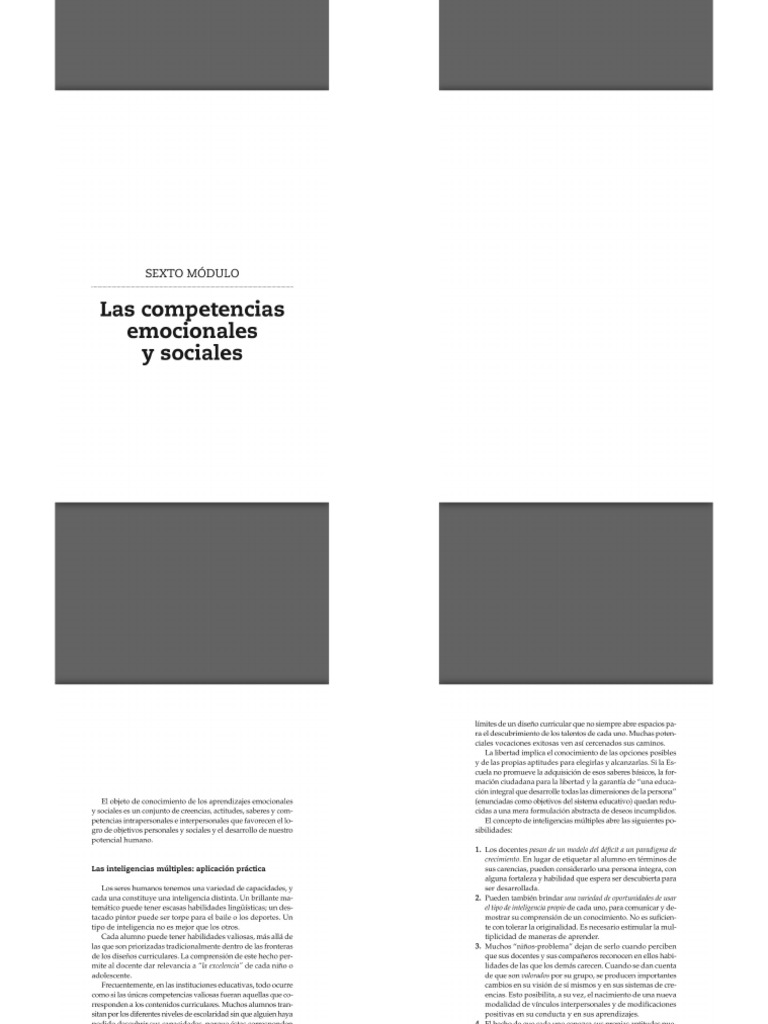 Libro Cap 6 Comp. Emocionales y Sociales1 | PDF