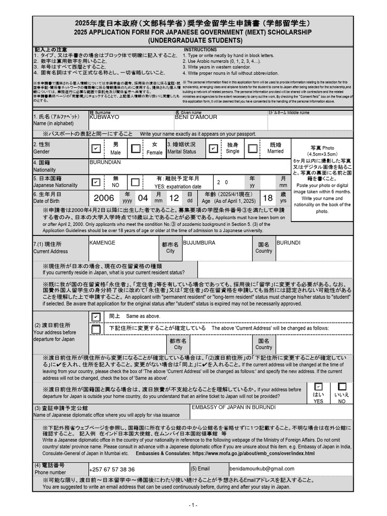 2025 Application Undergraduate | PDF