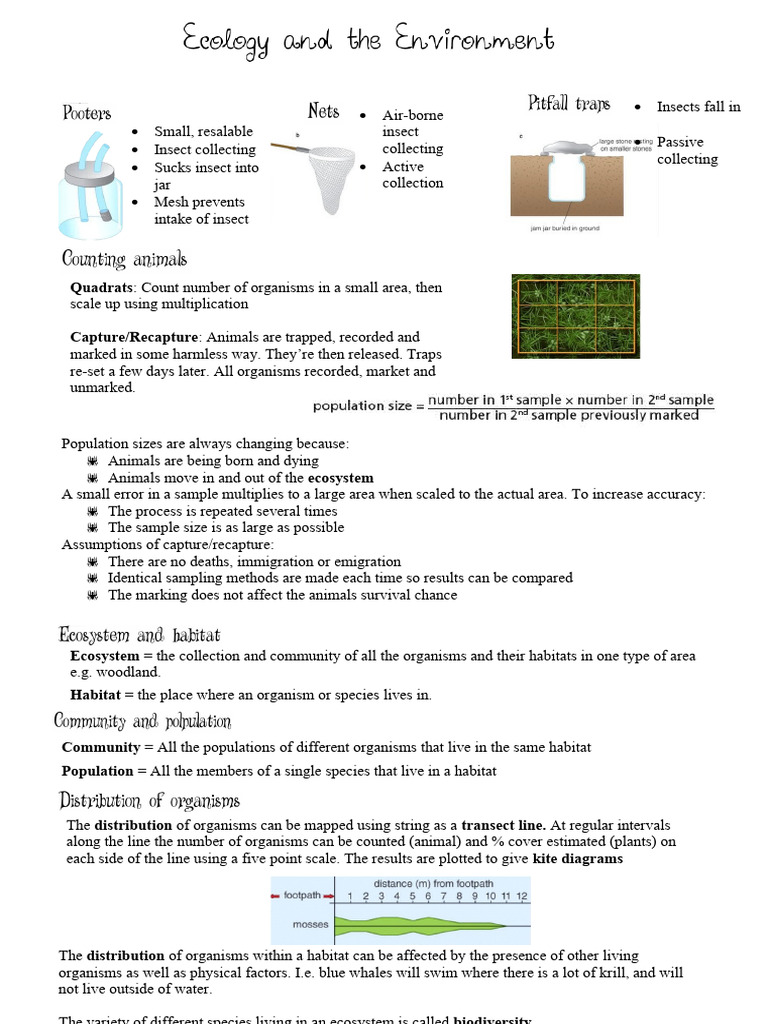 Ecosystem Sampling and Biodiversity | PDF | Plants | Ecosystem