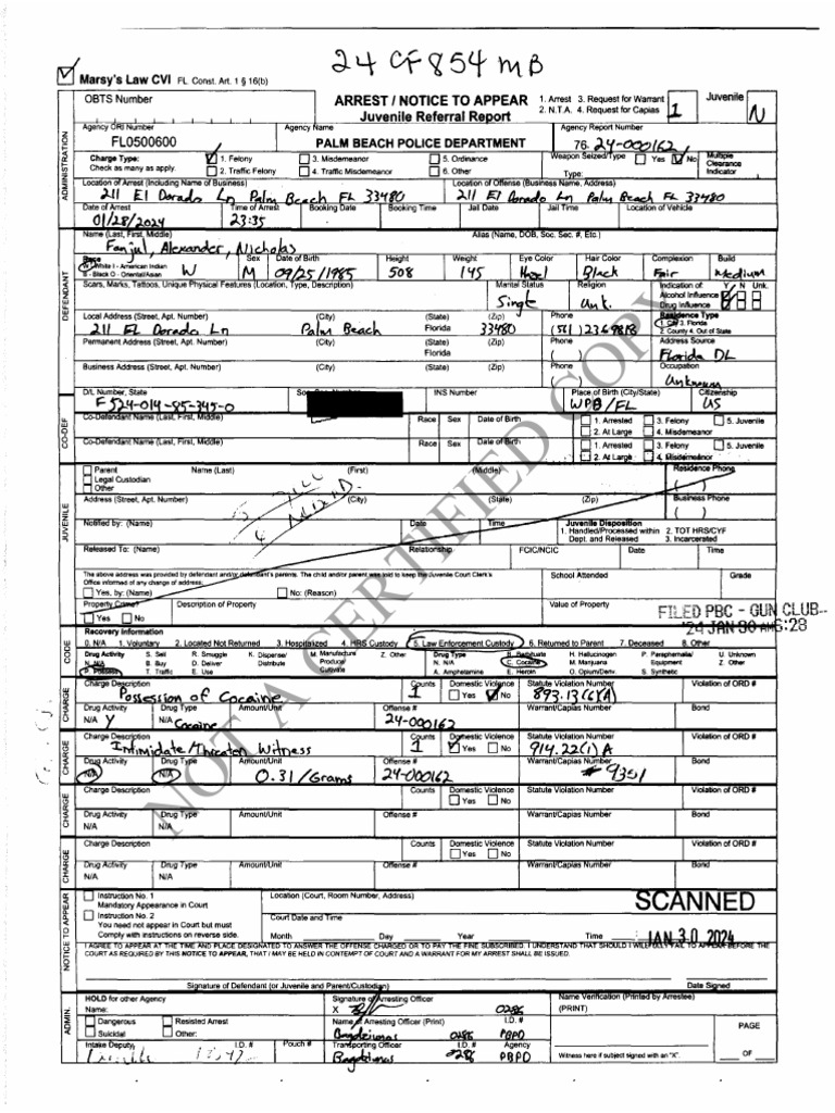 Alexander N. Fanjul Arrest | PDF | Arrest Warrant | Misconduct