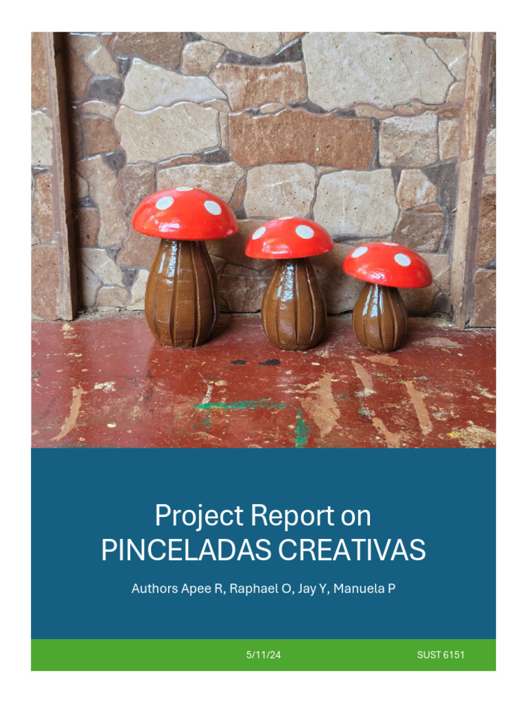 Group-5 Project Report | PDF | Entrepreneurship | Marketing