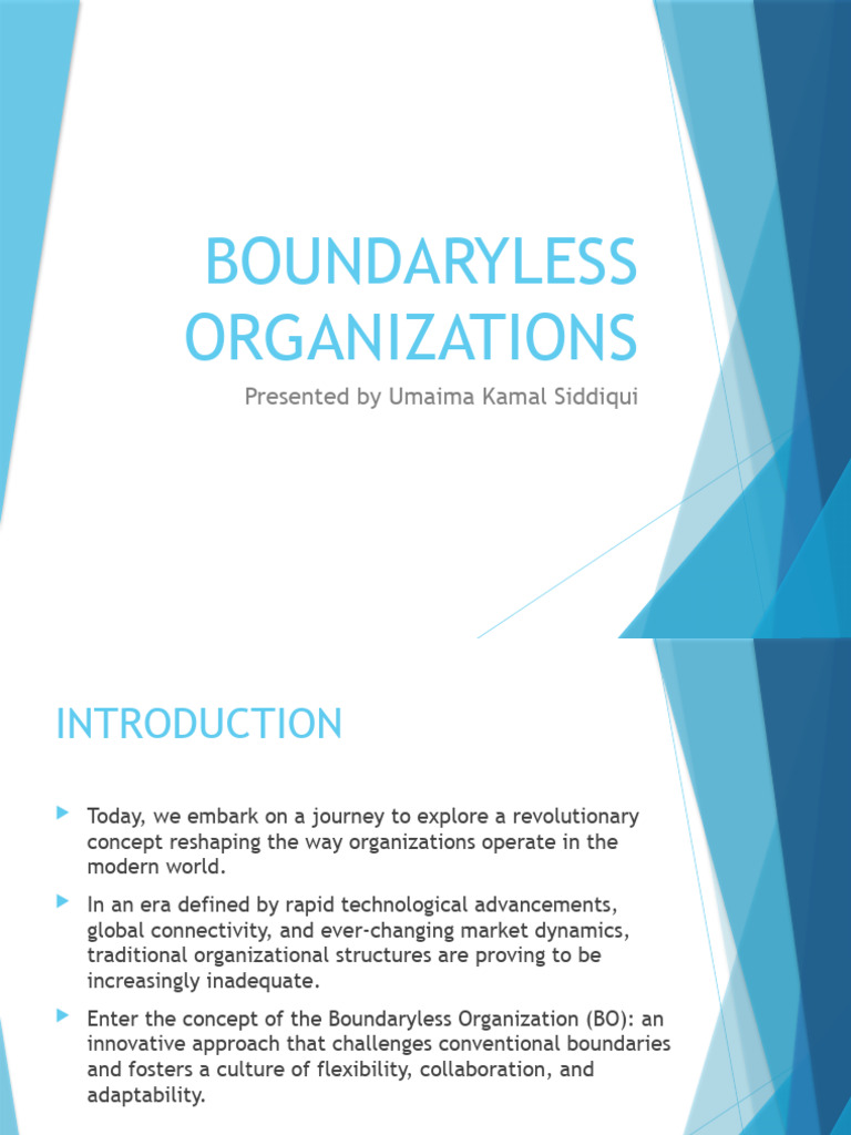 Boundaryless Organizations | PDF | Collaboration | Leadership