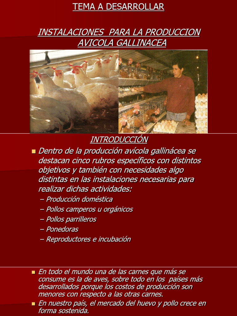 Unidada 8, Instalaciones para Aves | PDF | Pollo | Aves