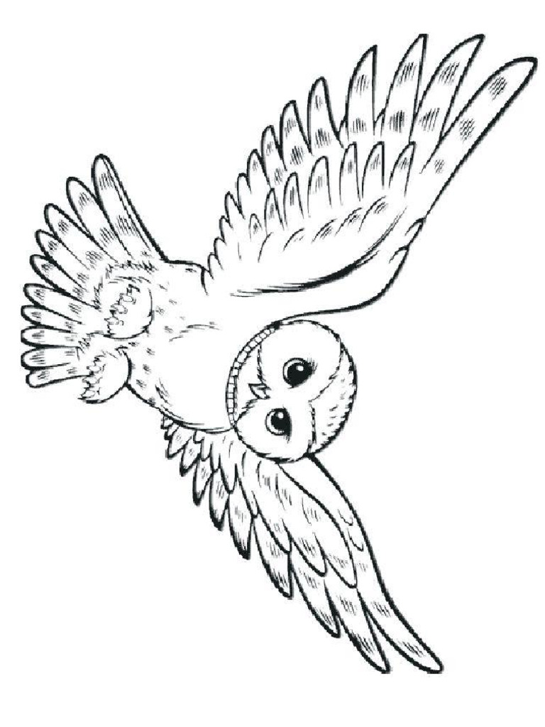 Lechuza Harry Potter | PDF