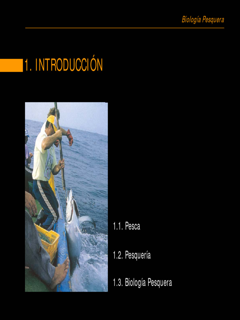 Biología de la Pesca y Pesquerías | PDF | Pesquería | Pesca comercial