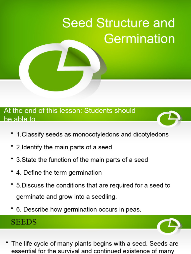 Seed and Germination 1A | PDF | Seed | Seedling