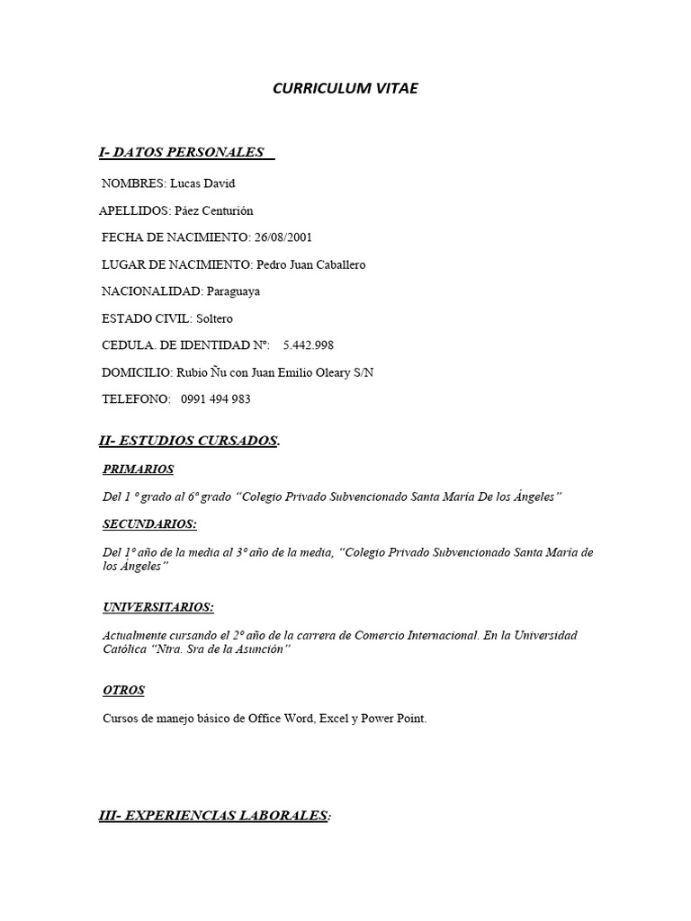 Curriculum Vitae Lucas Paez | PDF