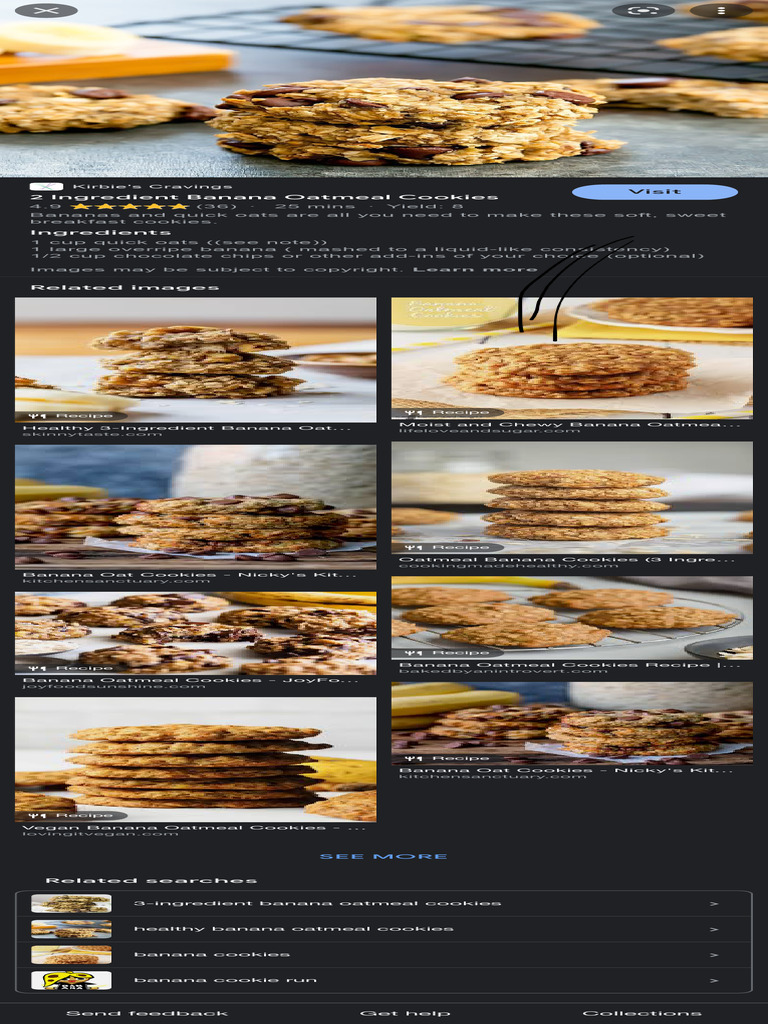 Rolled Oat Cookies | PDF