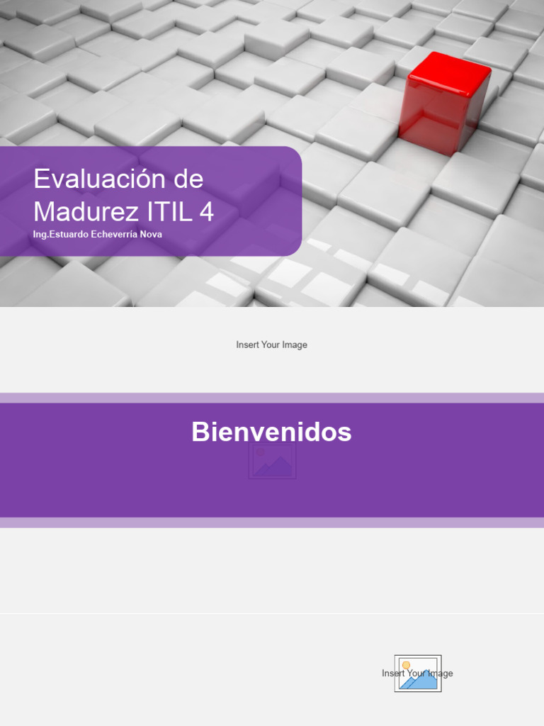 Sanas Practicas de ITIL V4-3 | Descargar gratis PDF | Itil | Software