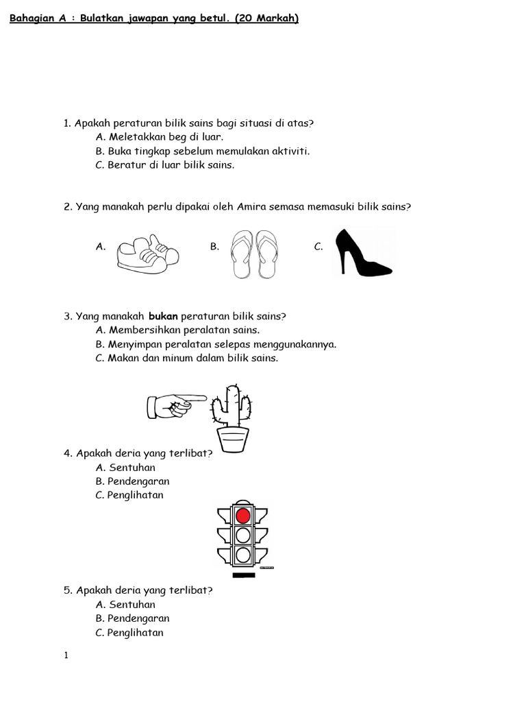 Contoh Soalan SN Tahun 3 | PDF