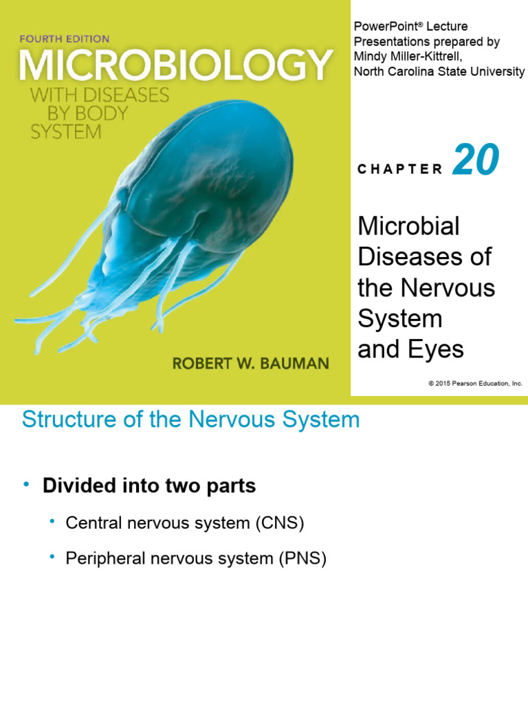 CH 20 Lecture Presentation | PDF | Infection | Meningitis