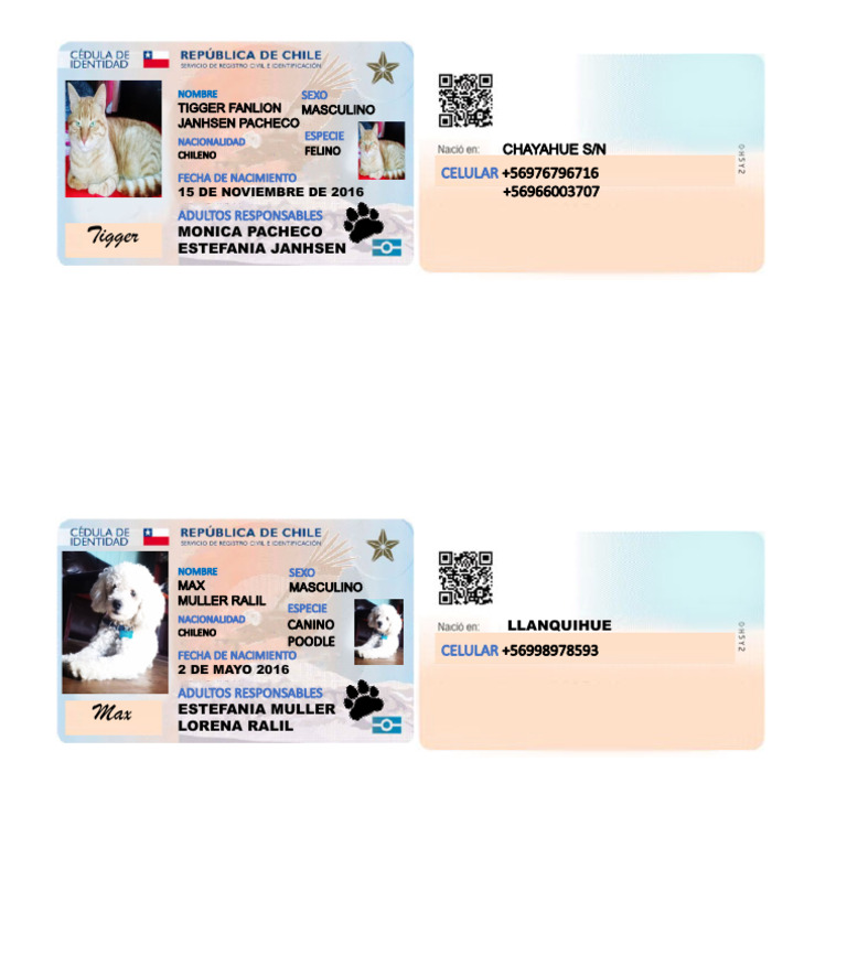 Carnet para Mascotas | PDF