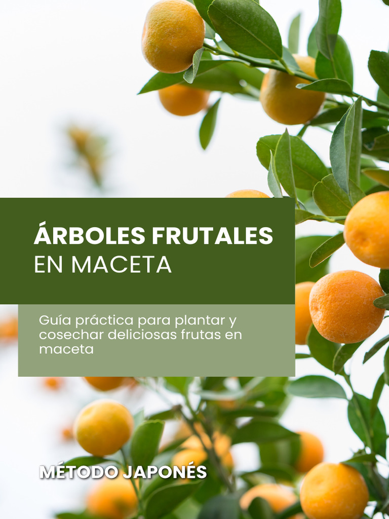 A rboles+Frutales+en+Maceta | PDF | Mango | manzana