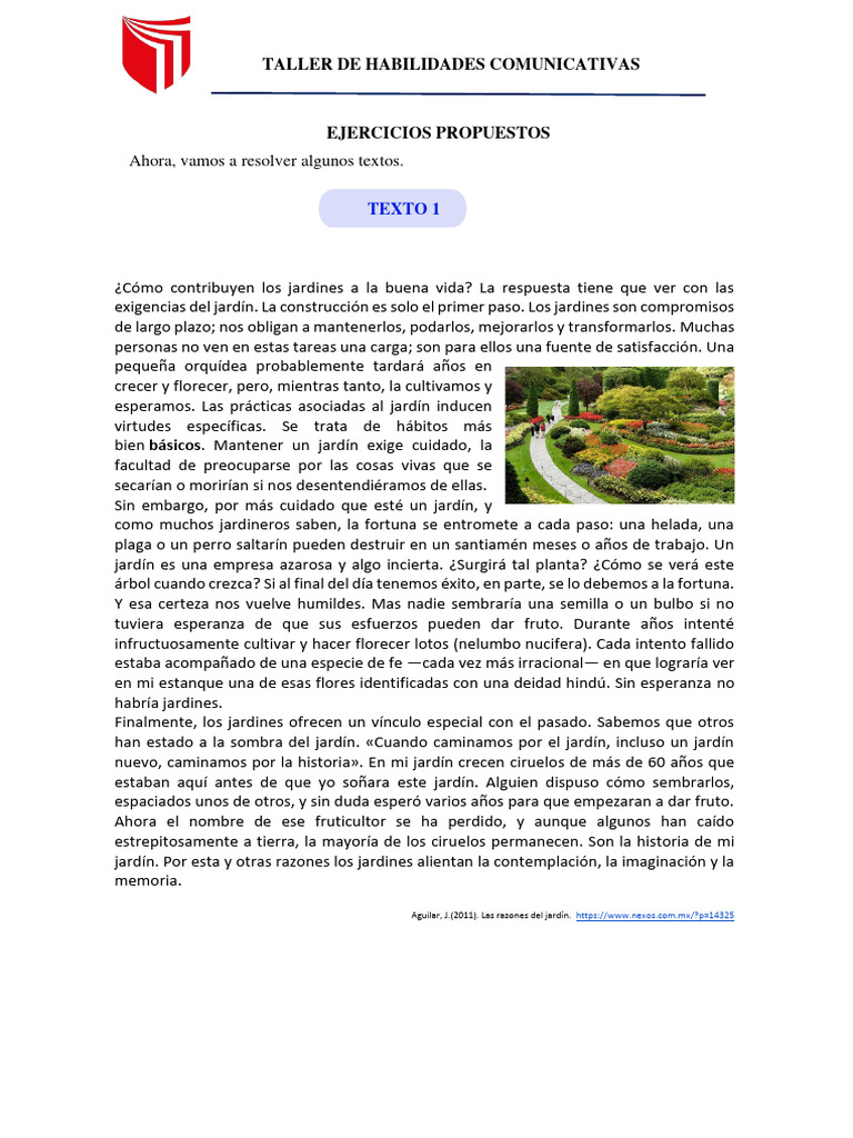 M2-Ejercicios Propuestos | PDF | Hipocampo | Cerebro