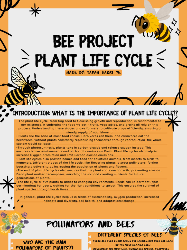 Bee Project-Plant Life Cycle | PDF | Pollination | Bees