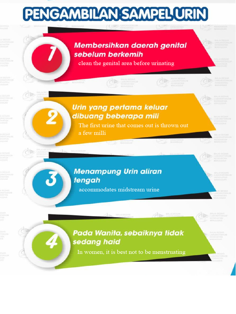 Proper Urination Hygiene Tips | PDF