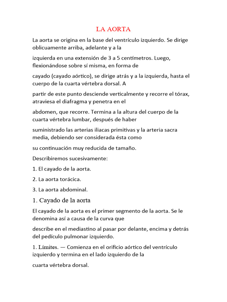 La Aorta | PDF | Aorta | Anatomía