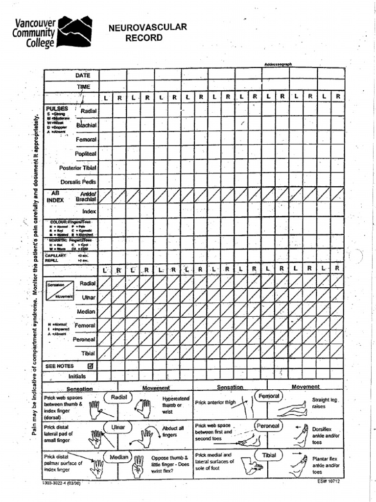 Neurovascular Record | PDF