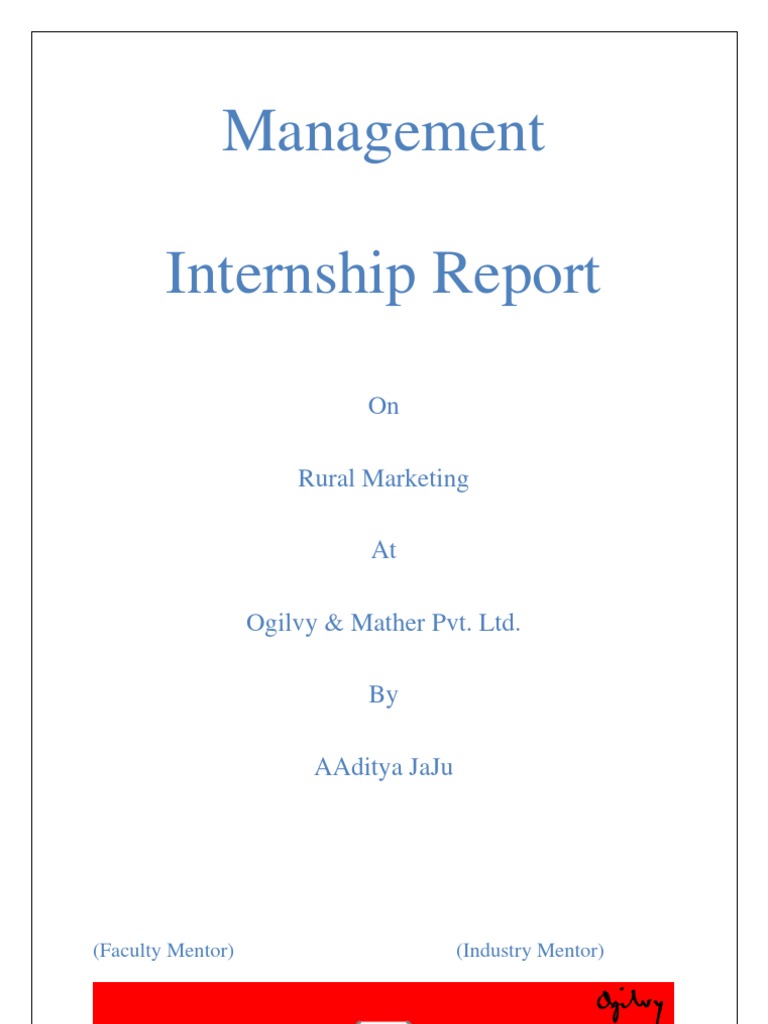 MIP Report Final | PDF | Marketing | Economies