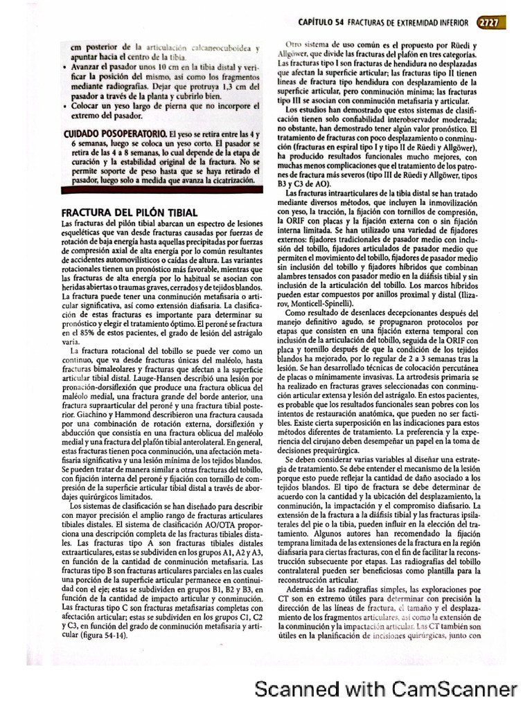 Campbell | PDF
