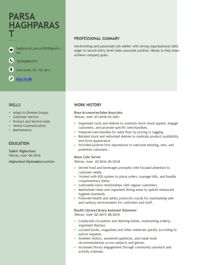 Parsa's Resume | PDF | Libraries
