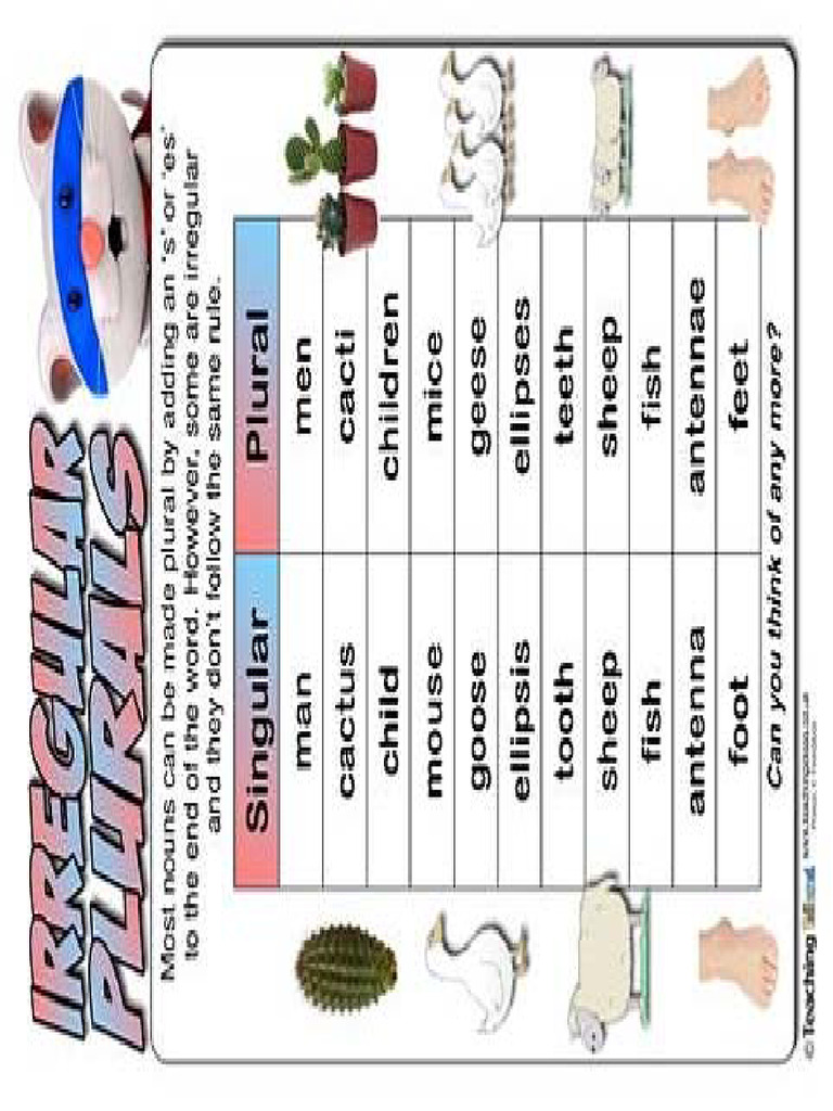 Plural Nouns - Note 3 | PDF
