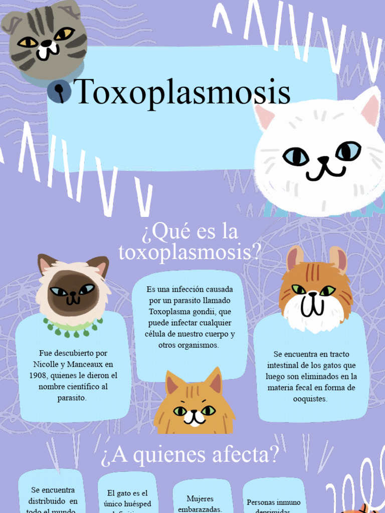 Toxoplasmosis: Causas, Prevención y Tratamiento | PDF | Medicina CLINICA | Biología