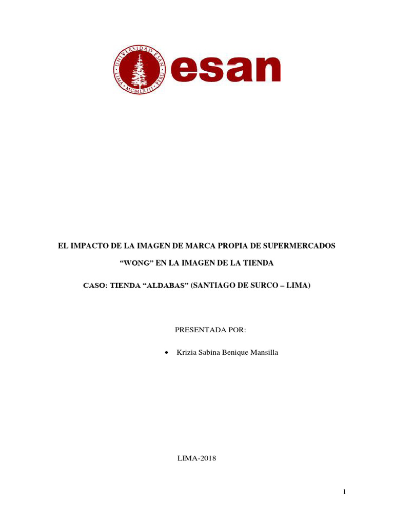 Benique Krizia ENTREGA FINAL TESIS II | PDF | Al por menor | Marca