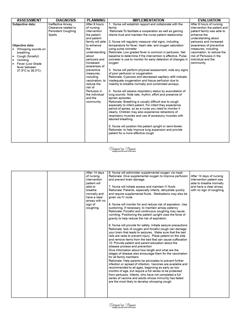 Nursing Care Plan Format | PDF | Health Sciences | Medicine
