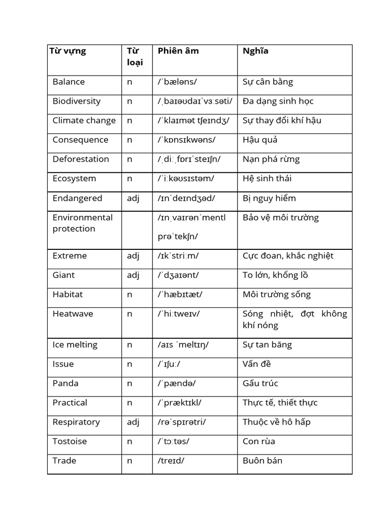 T V NG T Lo I Phiên Âm Nghĩa | PDF