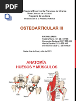 Signo del Témpano y Fabela en Rodilla | PDF | Rodilla | Pie