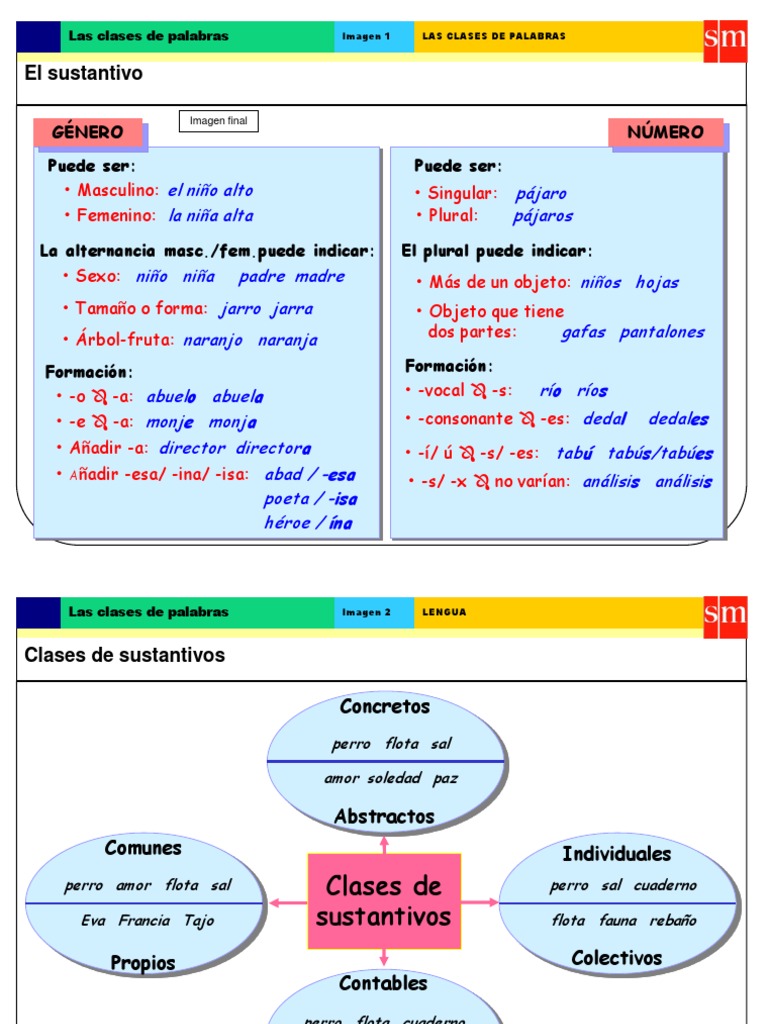 9-Las Clases de Palabras | PDF | Verbo | Sustantivo
