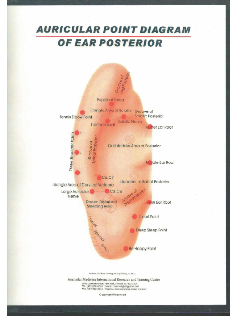 Mapa posterior de la oreja | PDF