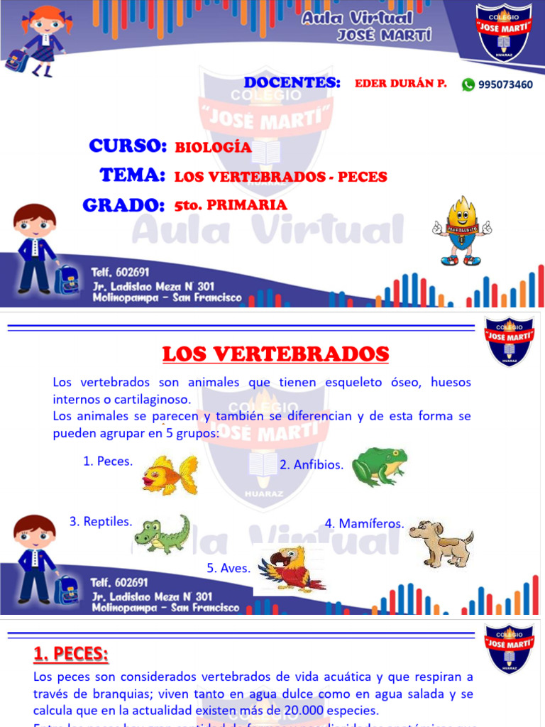 5to - Bilogía.Tema.21.Los Vertebrados - Peces | PDF