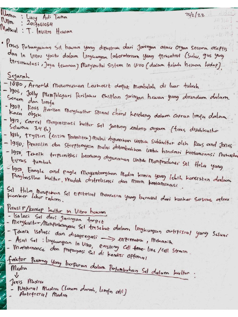 Lucy Adi Tama - Resume 1 | PDF