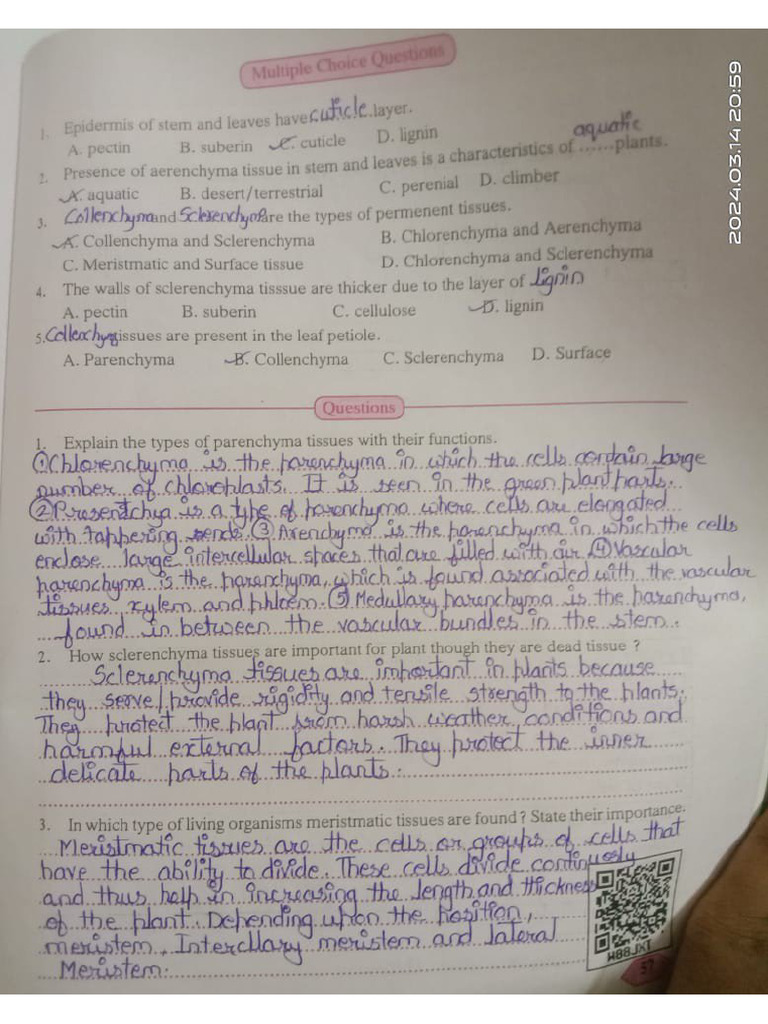 Science Pratical | PDF